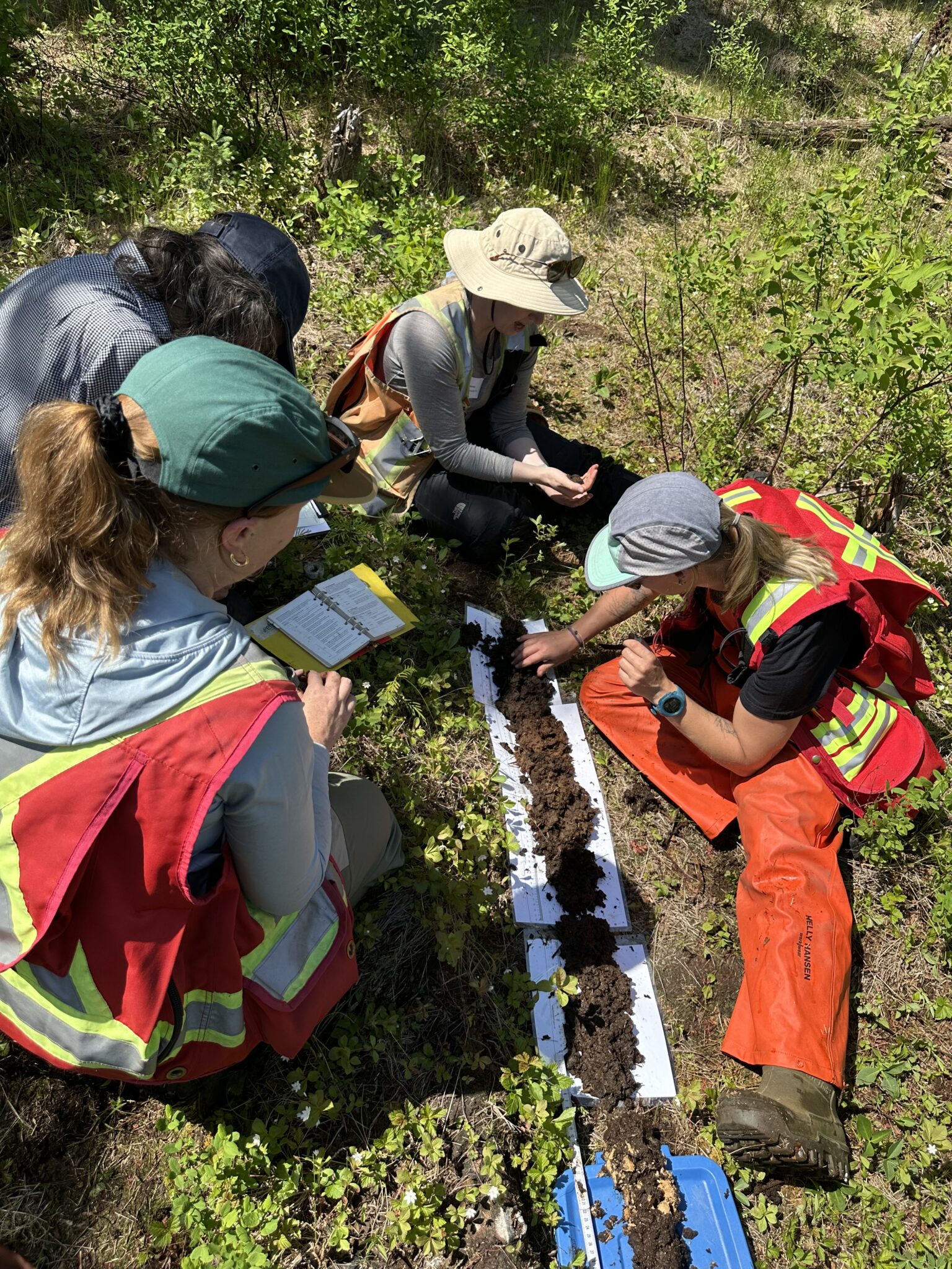 Field Soil Description & Classification Course > Columbia Mountains ...